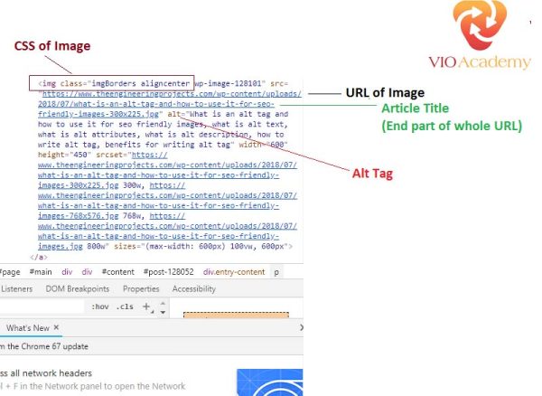 Thẻ ALT là gì? Cách để tối ưu hóa thẻ ALT tốt nhất
